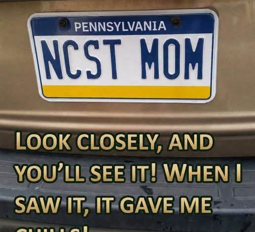 The Upside-Down License Plate Joke That Deceived Thousands: How a ...